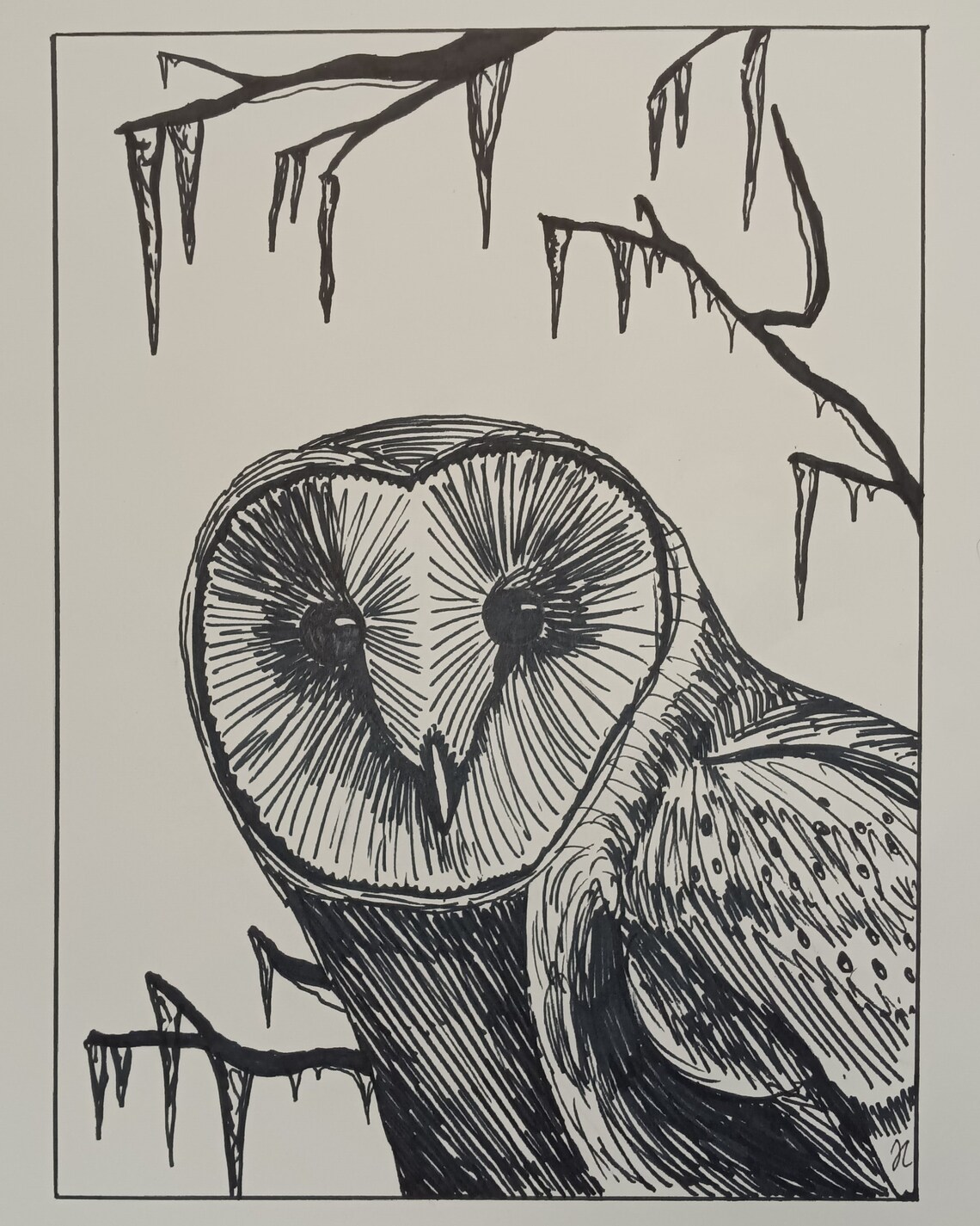 Barn Owl Ink Drawing - Etsy