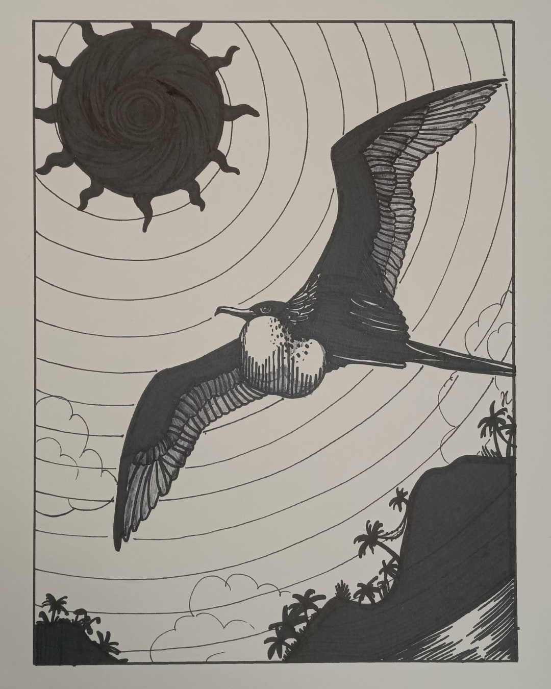 Magnificent Frigatebird Ink Drawing - Etsy