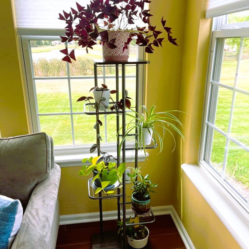 Unique Plant Stand Indoor - Etsy