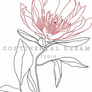 Modern Botanical Line Drawing Poster - Simple Flower Art Print - Etsy