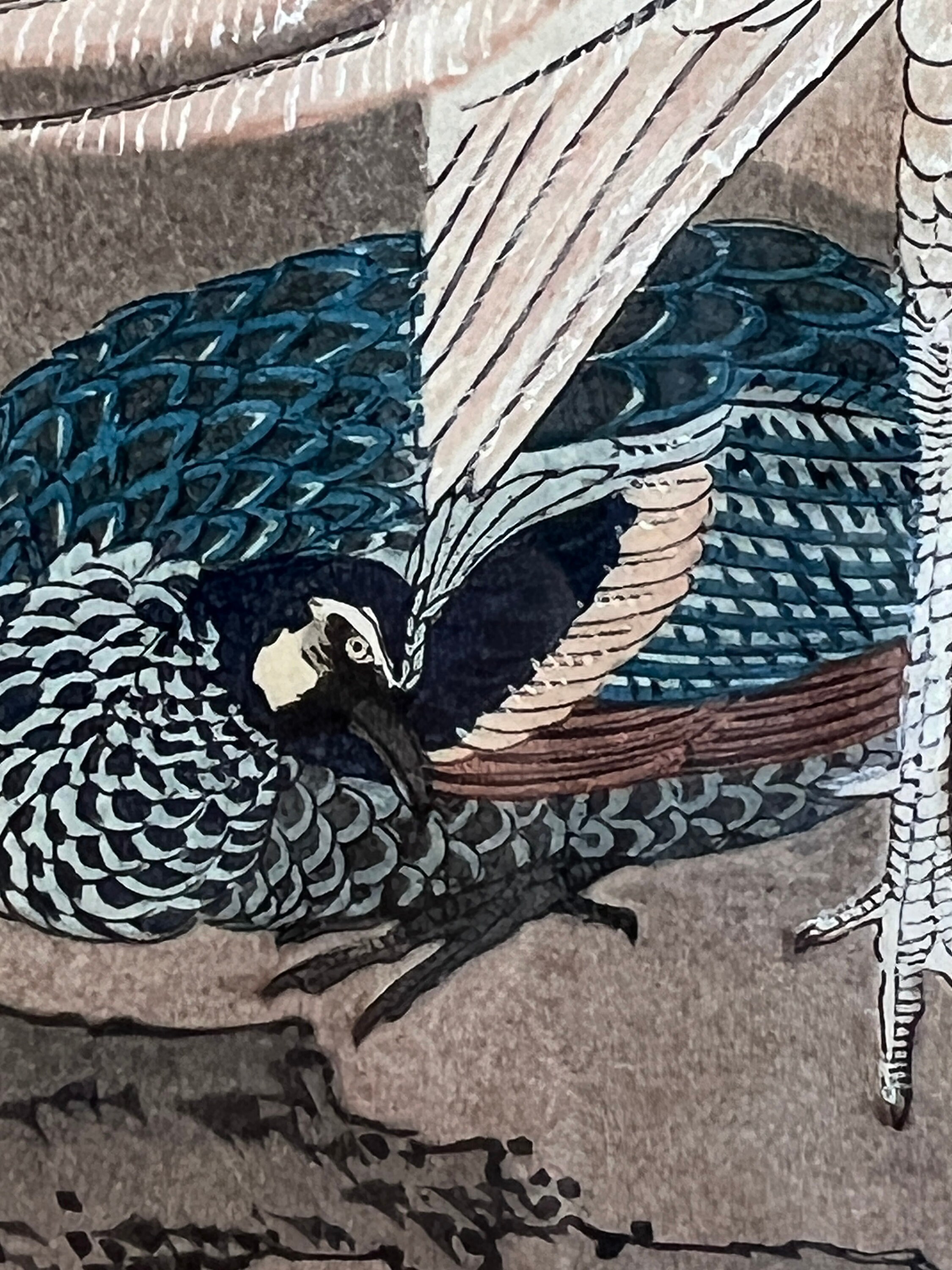 Maruyama Okyo Peacock Ukiyo-e Japanese Woodblock Framed Vintage Print ...