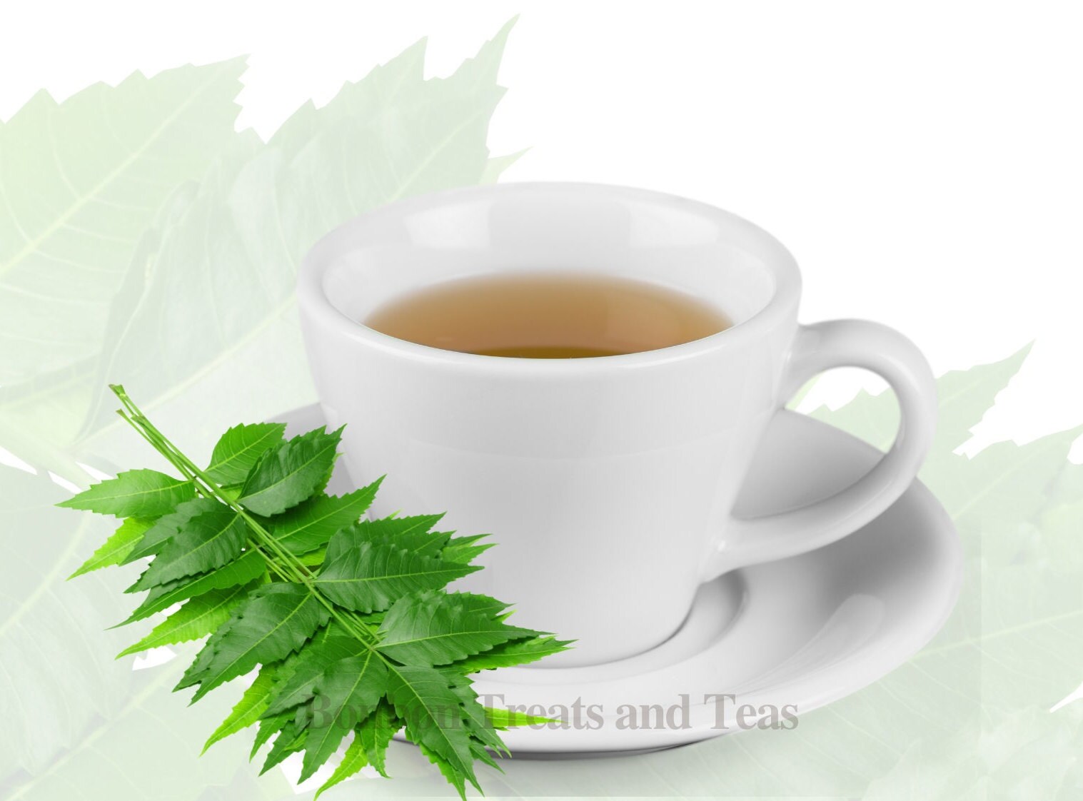 Dried Neem Leaf Azadirachta Indica All Pure & Natural Dry Neem Leaf ...