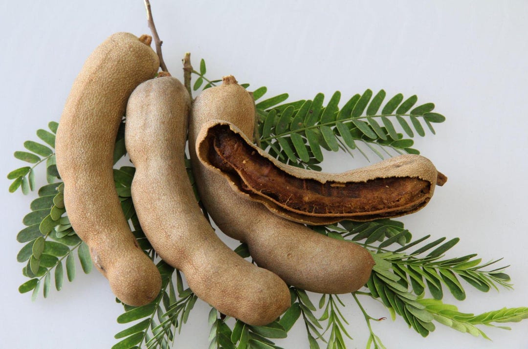 Premium Tamarind Powder, Pure Natural Spice, Authentic Indian Seasoning ...