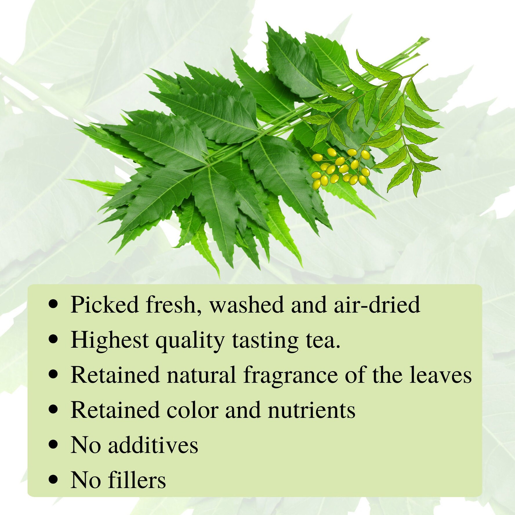 Dried Neem Leaf Azadirachta Indica All Pure & Natural Dry Neem Leaf ...