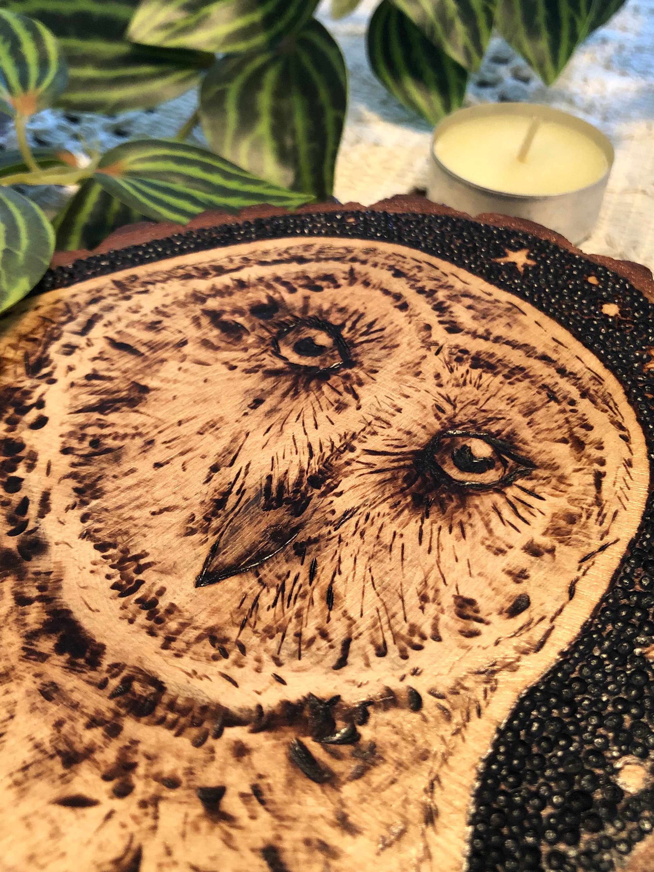 Handmade Wood Burned Art, Pyrography on Sourwood, Starry Night Owl ...