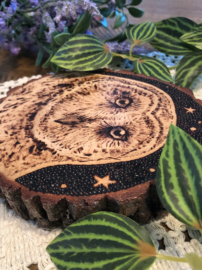 Handmade Wood Burned Art, Pyrography on Sourwood, Starry Night Owl ...