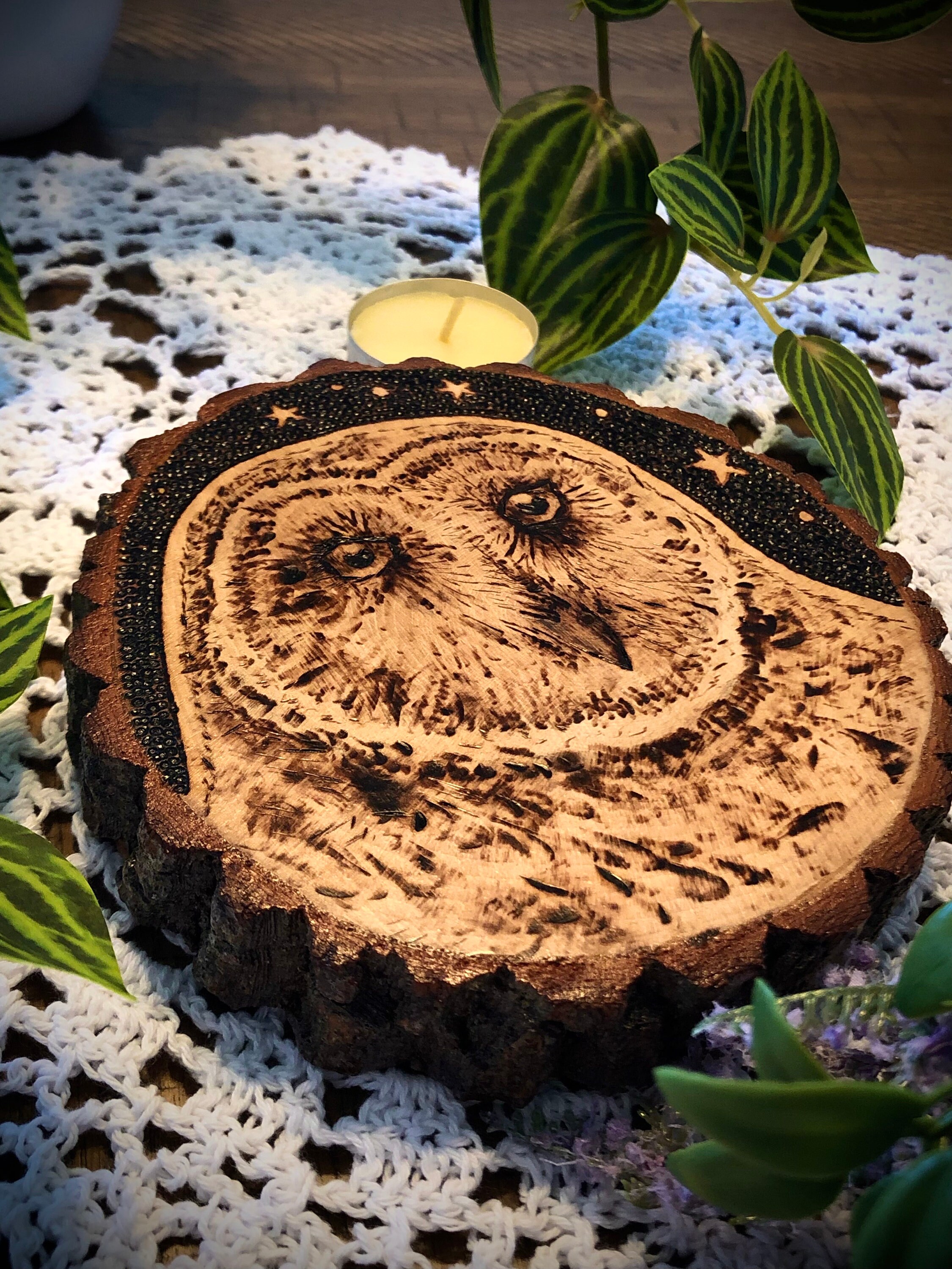 Handmade Wood Burned Art, Pyrography on Sourwood, Starry Night Owl ...