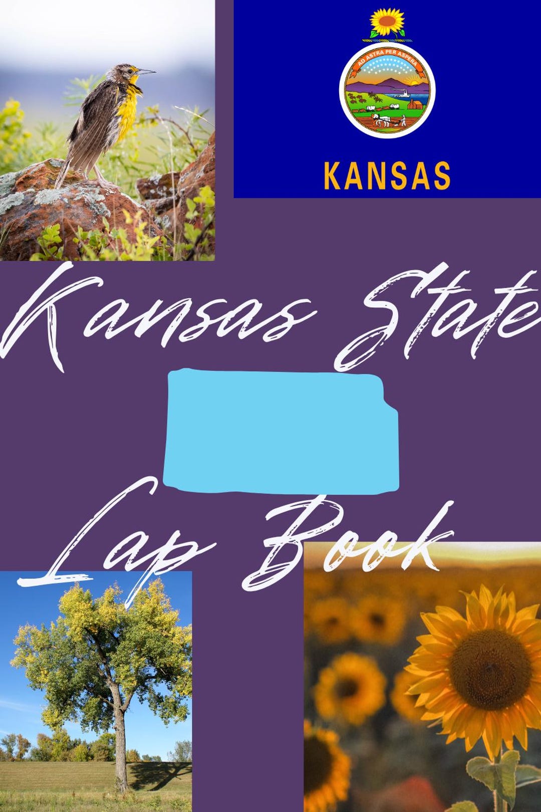 State of Kansas Lapbook - Etsy