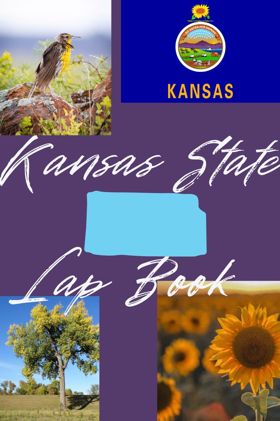 State of Kansas Lapbook - Etsy