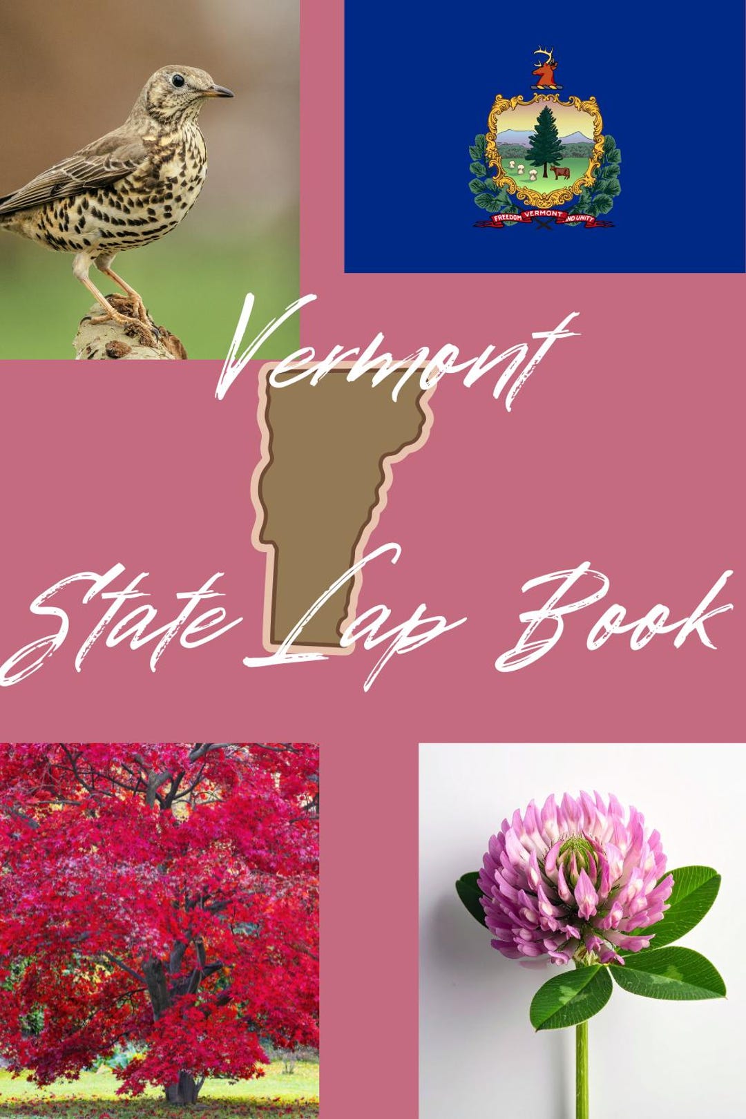 State of Vermont Lapbook - Etsy