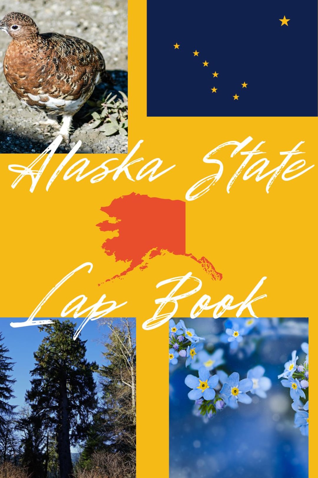State of Alaska Lapbook - Etsy