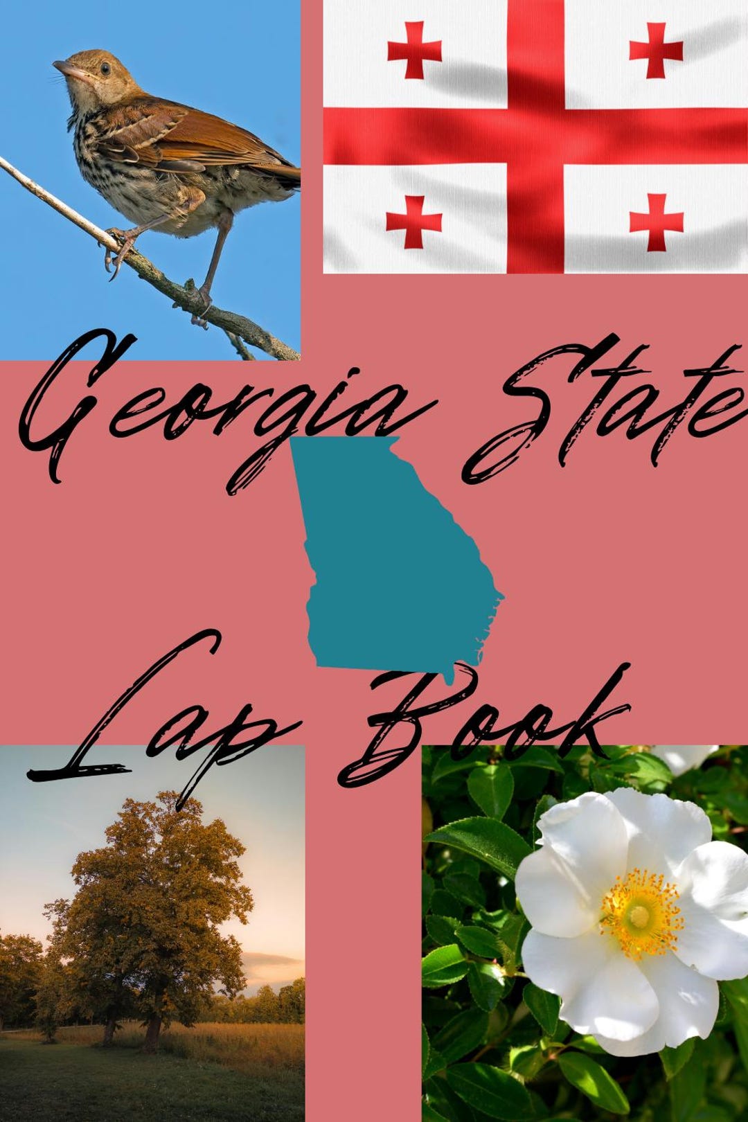 My State of Georgia Lapbook - Etsy