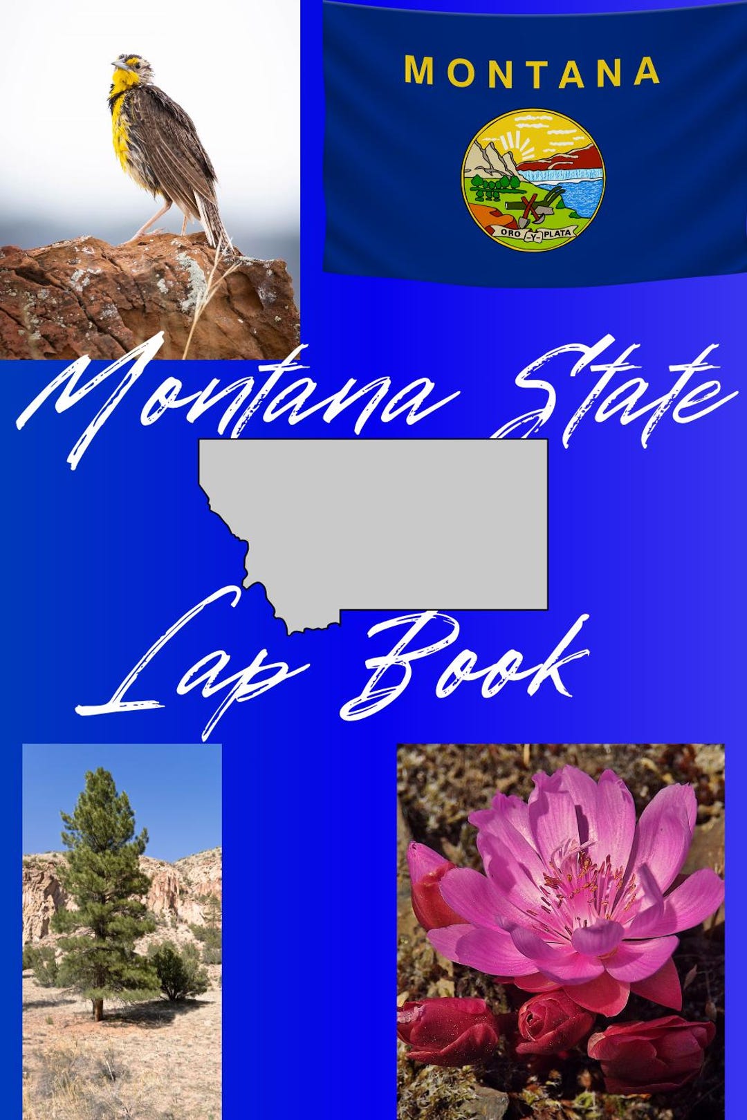 State of Montana Lapbook - Etsy