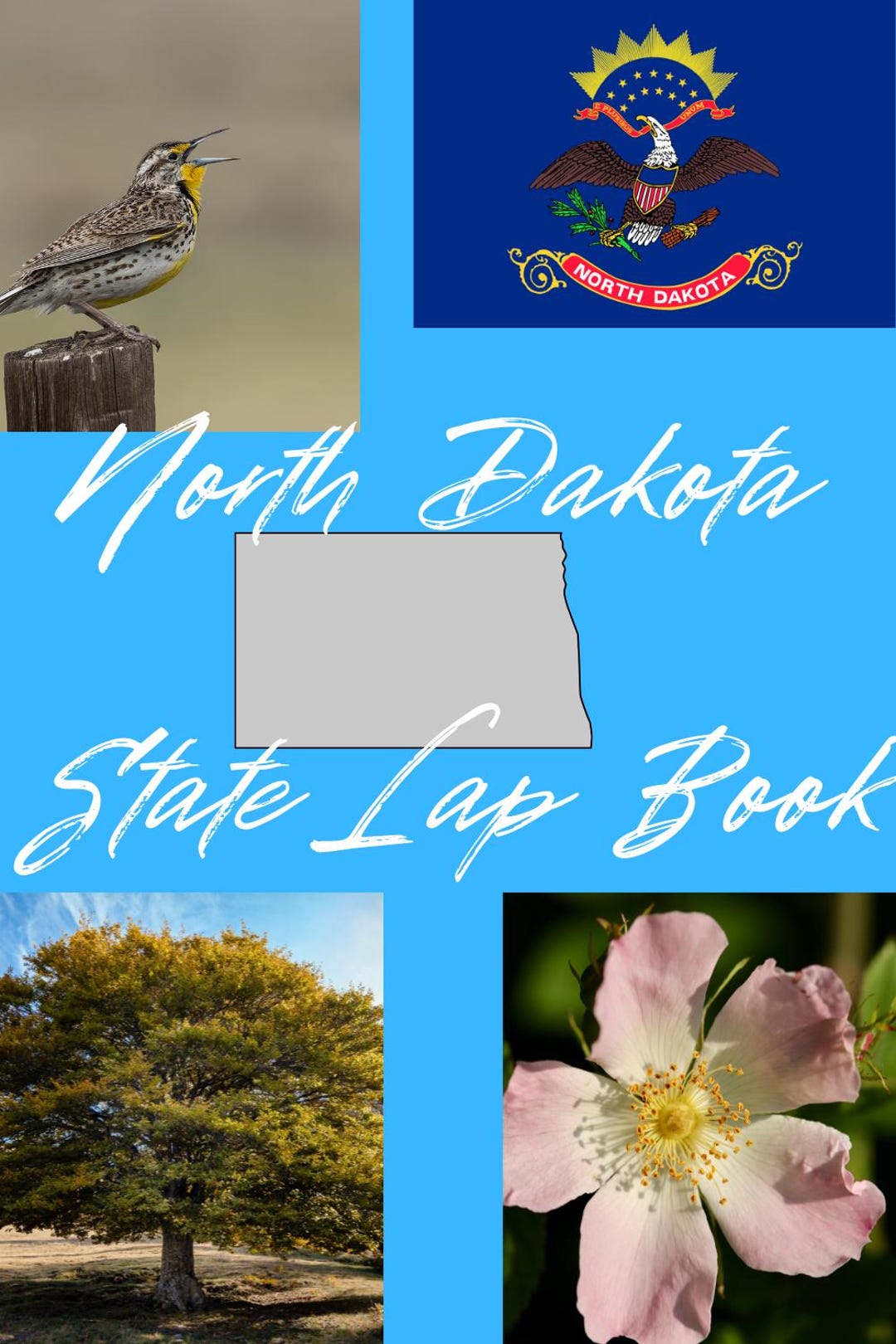 State of North Dakota Lapbook - Etsy