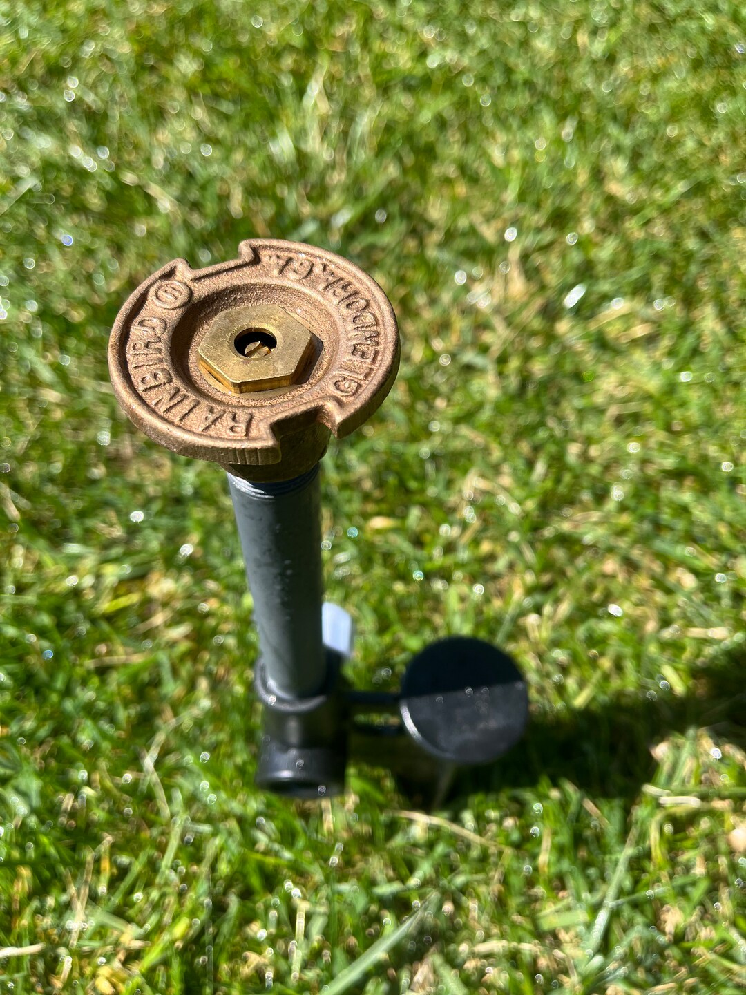 Commercial Quality Sprinkler Spike With New 1970’s Rain Bird Spray Head ...