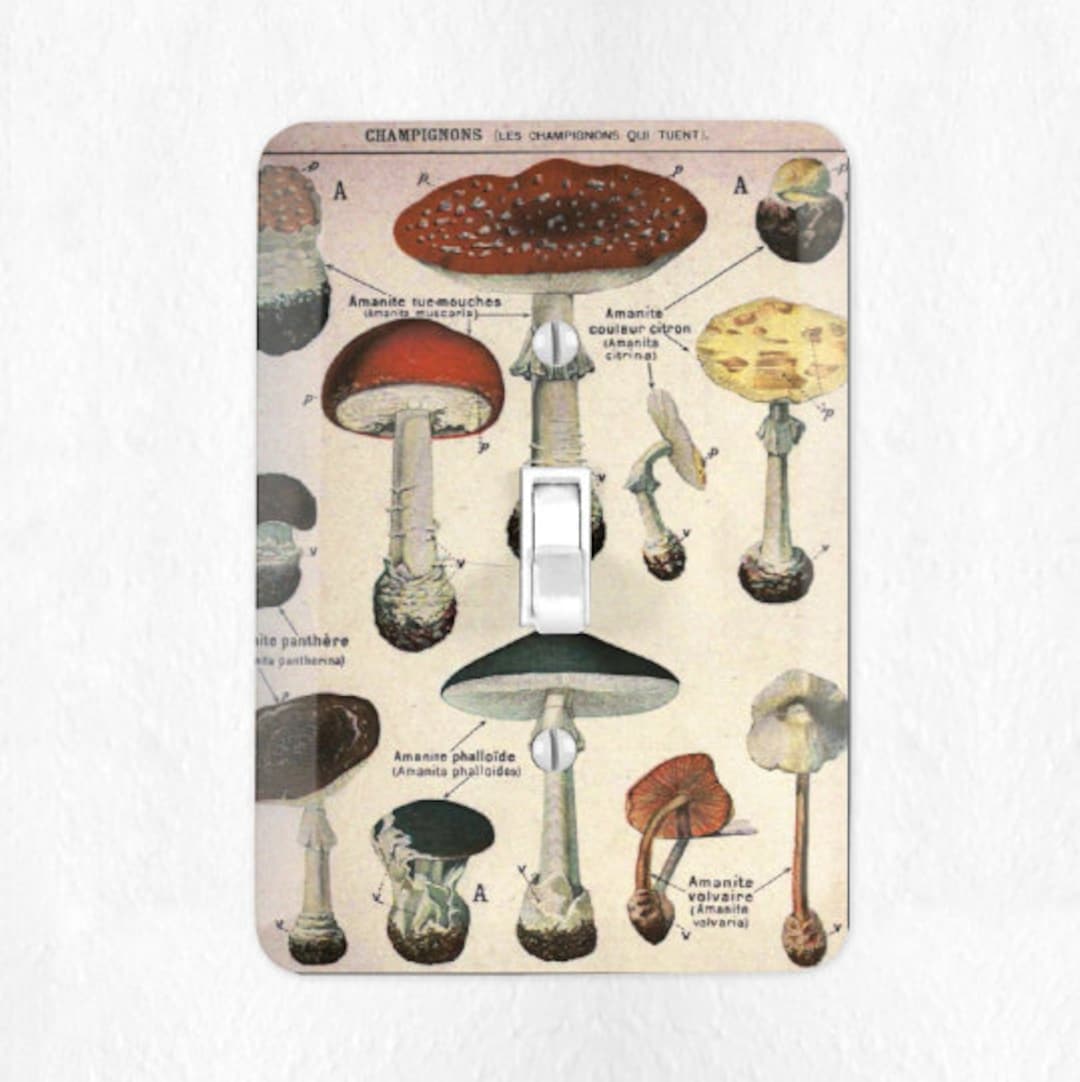 Mushroom Light Switch Cover Vintage Mushroom Poster, French Mushroom ...