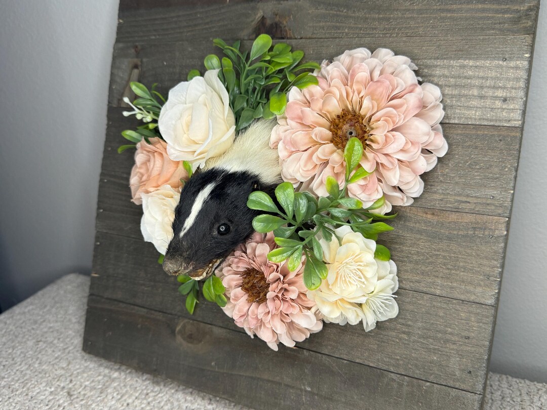 Skunk Taxidermy Wall Art - Etsy