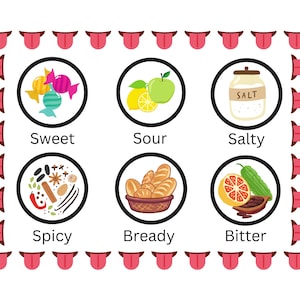 Five Senses Snack Mats: Fun Mealtime Placemats (printable) - Etsy
