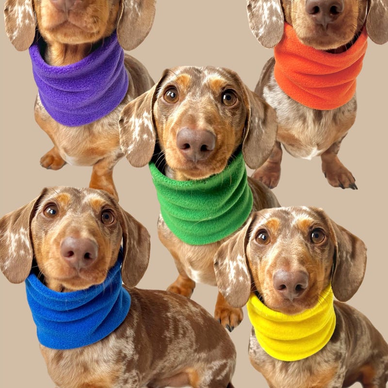 Pet Snood - Etsy