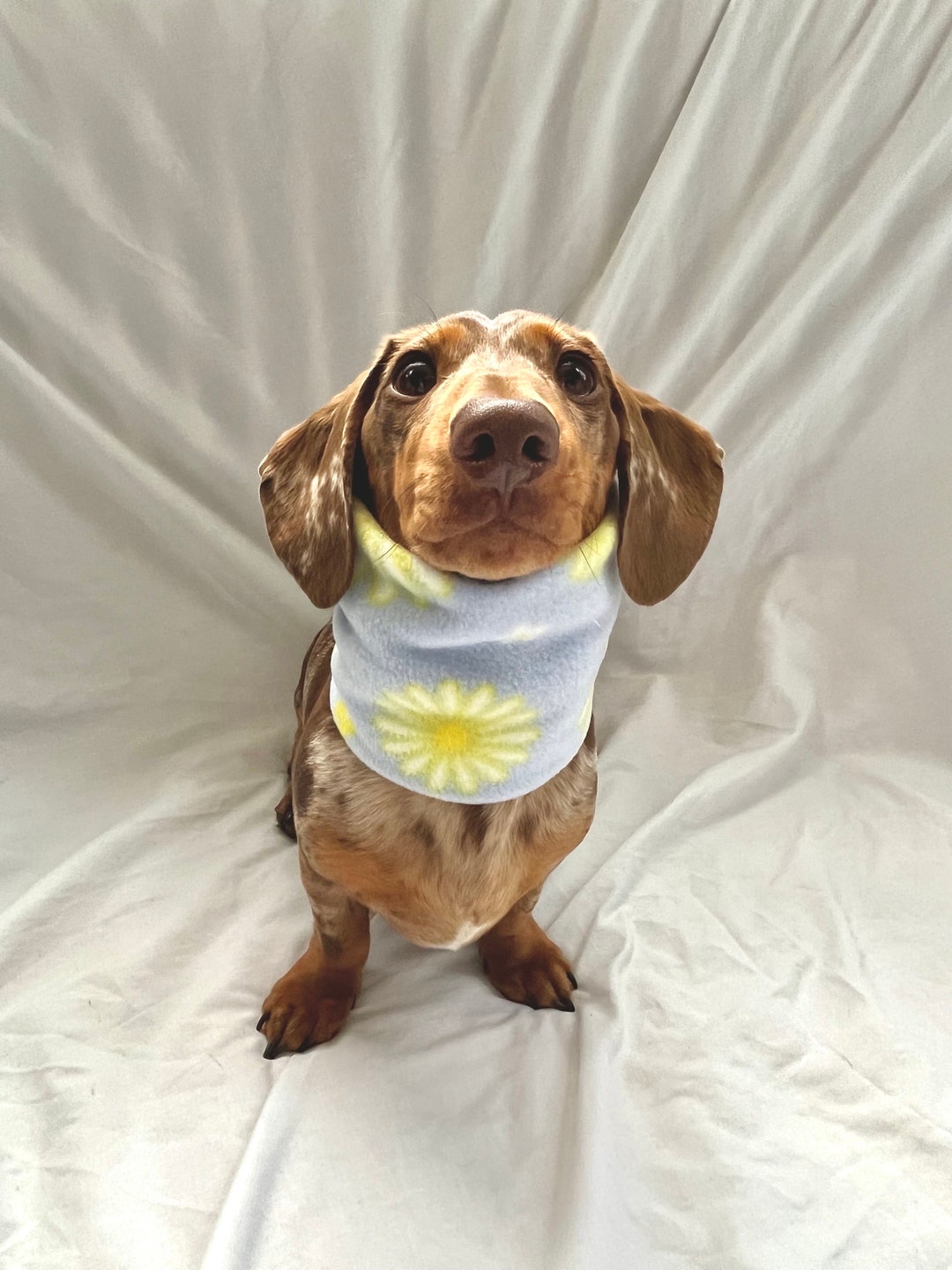 Daisy Polar Fleece Dog Snood | Pet Neck Warmer | Pet Scarf | Dog Snood ...