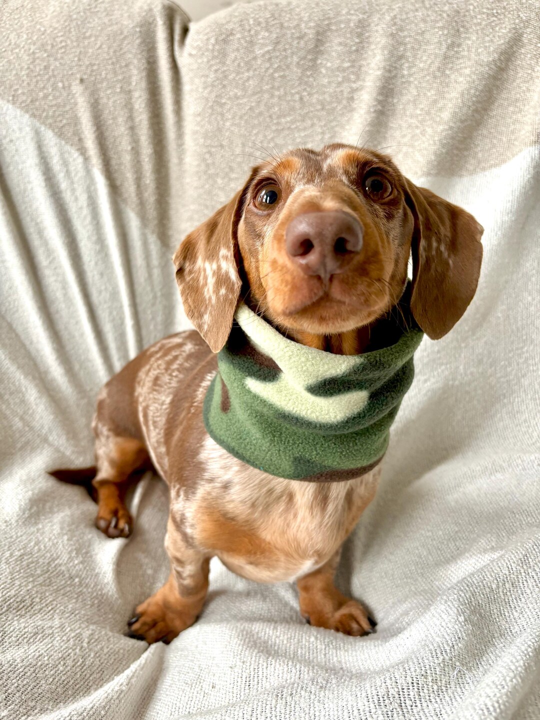Camo Polar Fleece Dog Snood | Pet Neck Warmer | Pet Scarf | Dog Snood ...