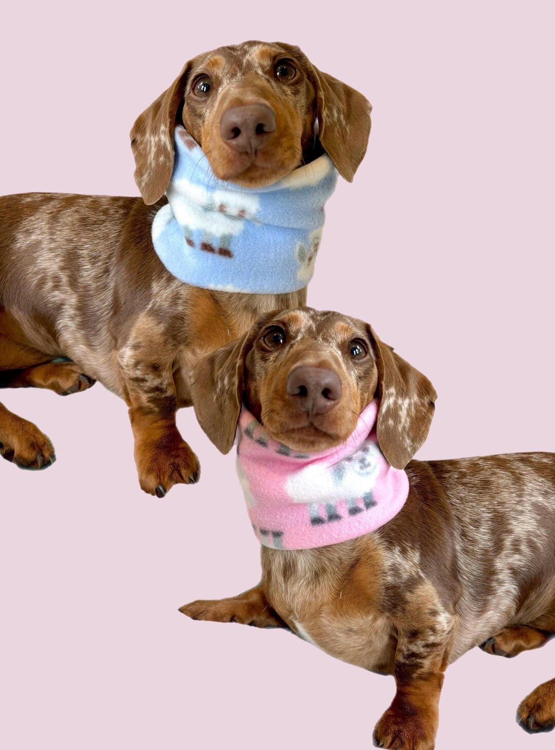 Sheep Polar Fleece Dog Snood | Pet Neck Warmer | Pet Scarf | Dog Snood ...
