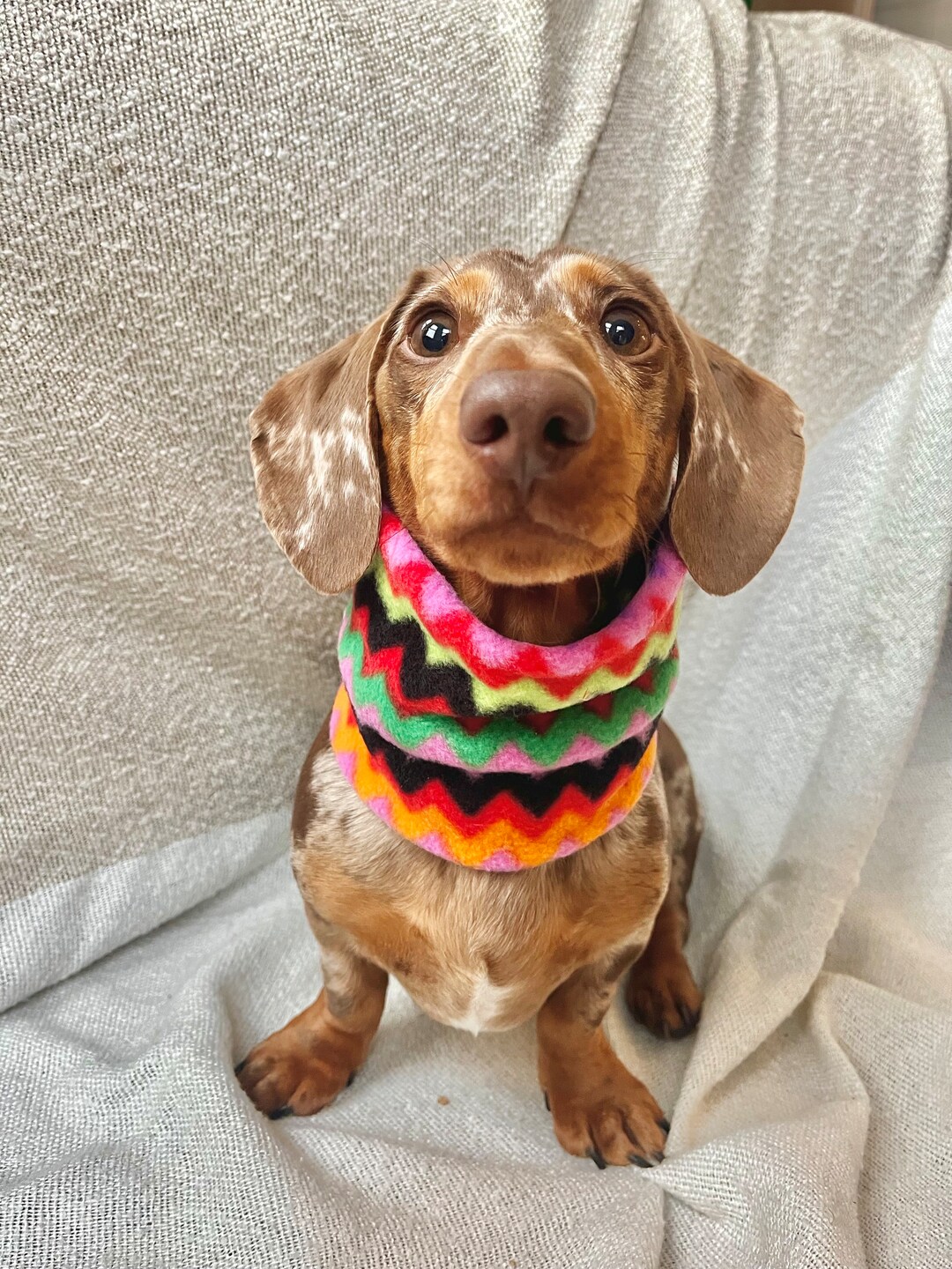 Zig Zag Polar Fleece Dog Snood | Pet Neck Warmer | Pet Scarf | Dog ...