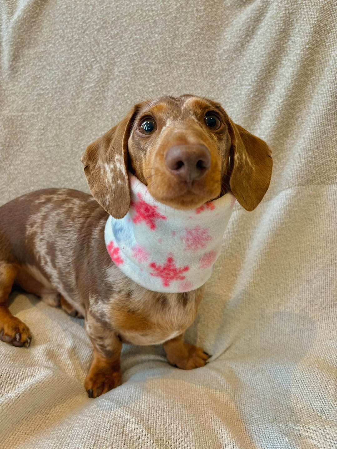 Snowflake Polar Fleece Dog Snood | Pet Neck Warmer | Pet Scarf | Dog ...