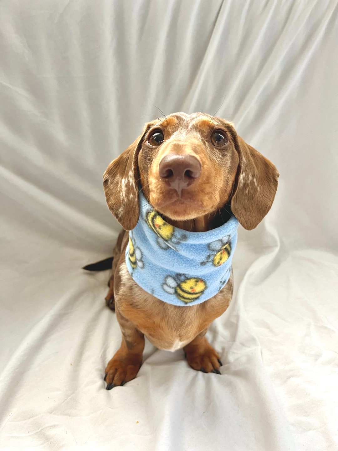Blue Sky Bee Polar Fleece Dog Snood | Pet Neck Warmer | Pet Scarf | Dog ...