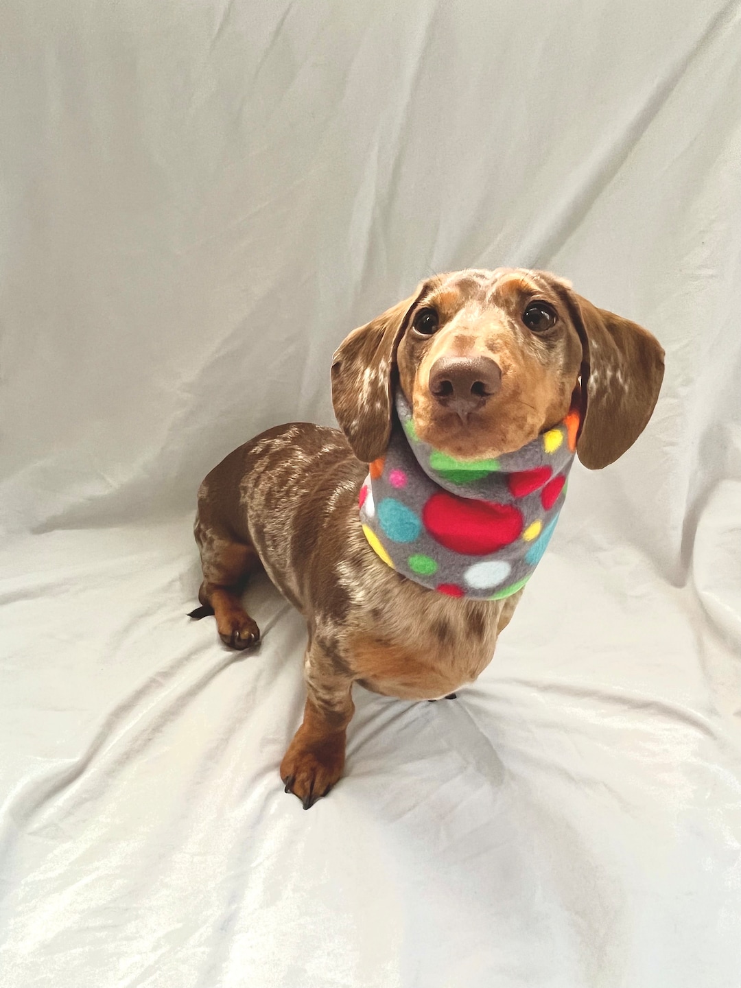 Polka Dot Polar Fleece Dog Snood | Pet Neck Warmer | Pet Scarf | Dog ...