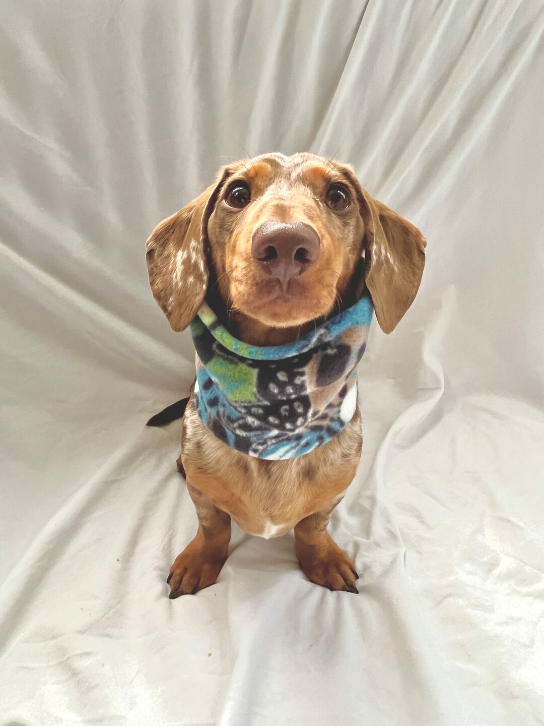 Jungle Polar Fleece Dog Snood | Pet Neck Warmer | Pet Scarf | Dog Snood ...