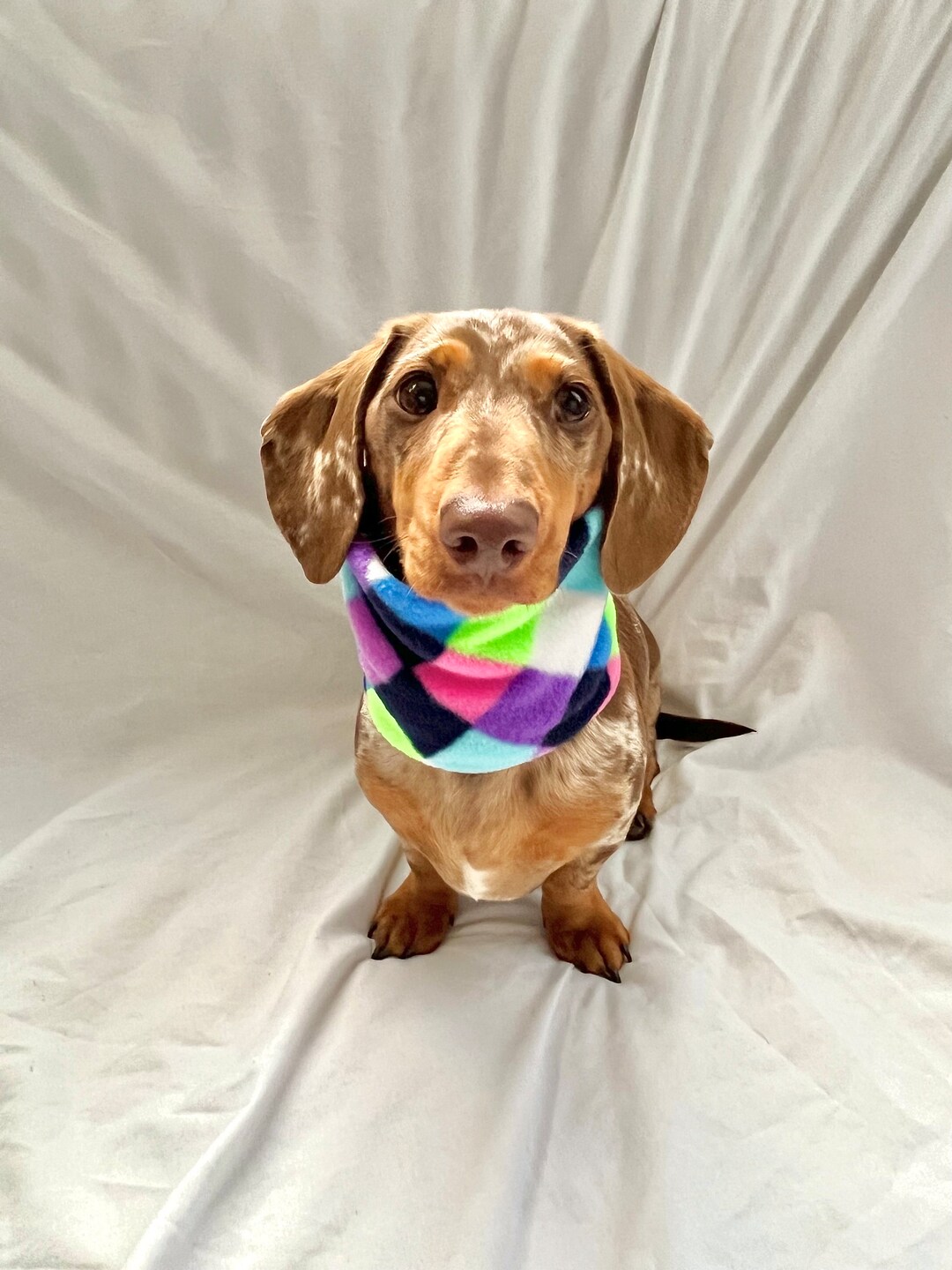 Diamond Polar Fleece Dog Snood | Pet Neck Warmer | Pet Scarf | Dog ...