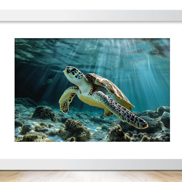 Turtle Picture Frame - Etsy