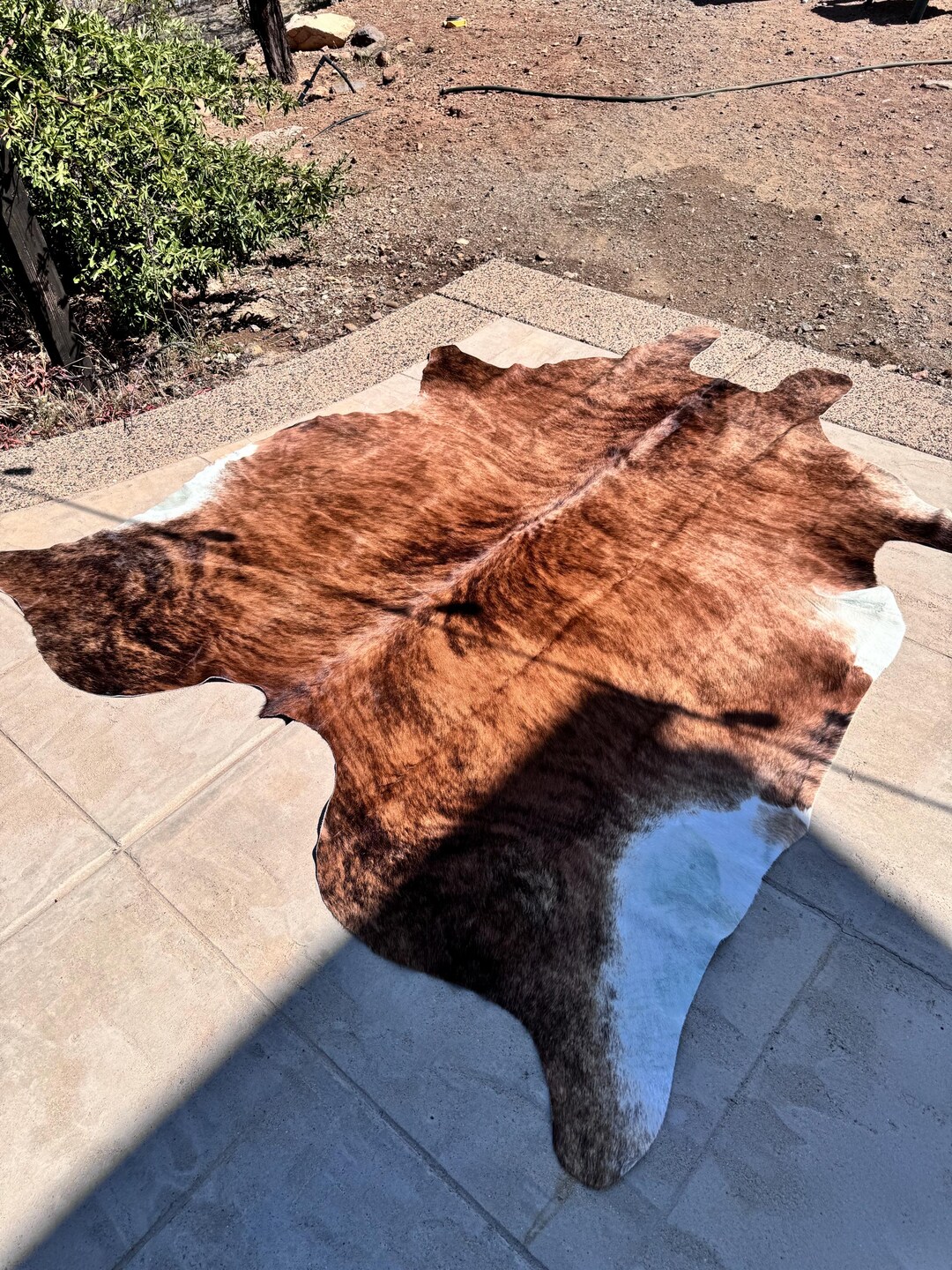 LOVELY Large Genuine Hair on New Exotic Brindle Tricolor Cowhide Rug ...
