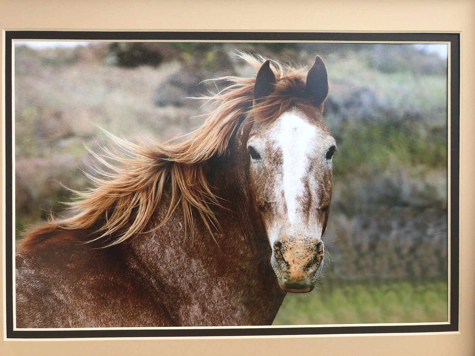 Ready to Hang Rustic Western Decor Framed Wall Art Wild Horse - Etsy