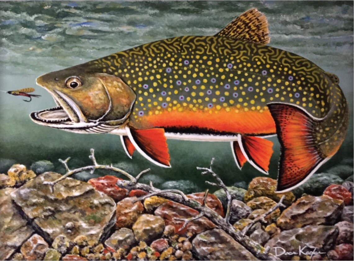 2024 Minnesota Trout & Salmon Stamp Print - Etsy