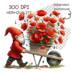 Poppy Gnome Clipart Memorial Gnome Watercolor Gnome PNG Spring Gnome ...