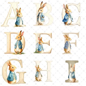 Peter Rabbit Alpabet Png Peter Rabbit Clipart Cute Bunny Letter Image ...