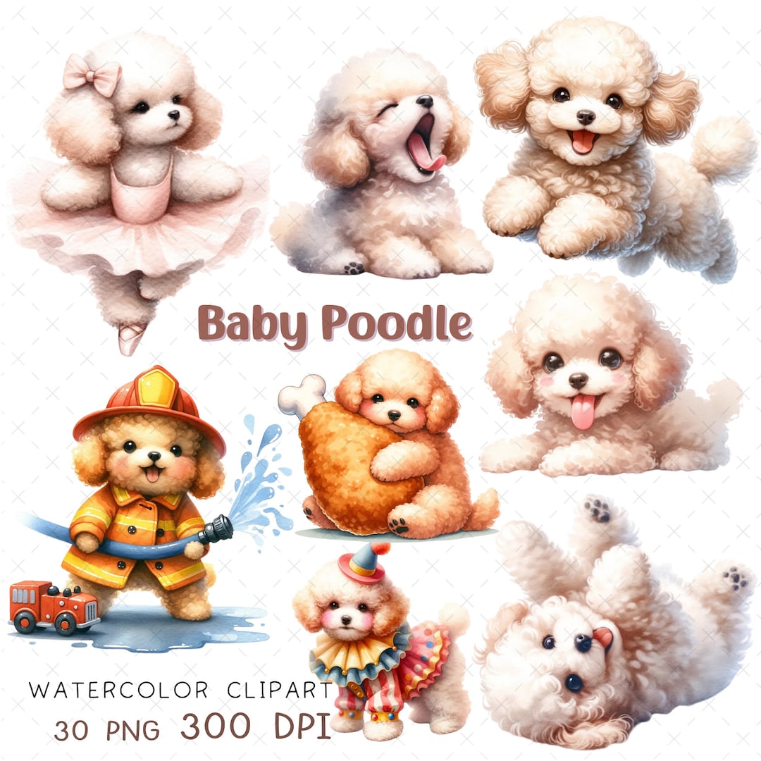 Baby Poodle PNG Pet Lover Clipart Watercolor Puppy Sublimation Cute Dog ...