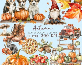 Autumn Gnome Watercolor Clipart: Fall PNG Bundle (digital Download ...