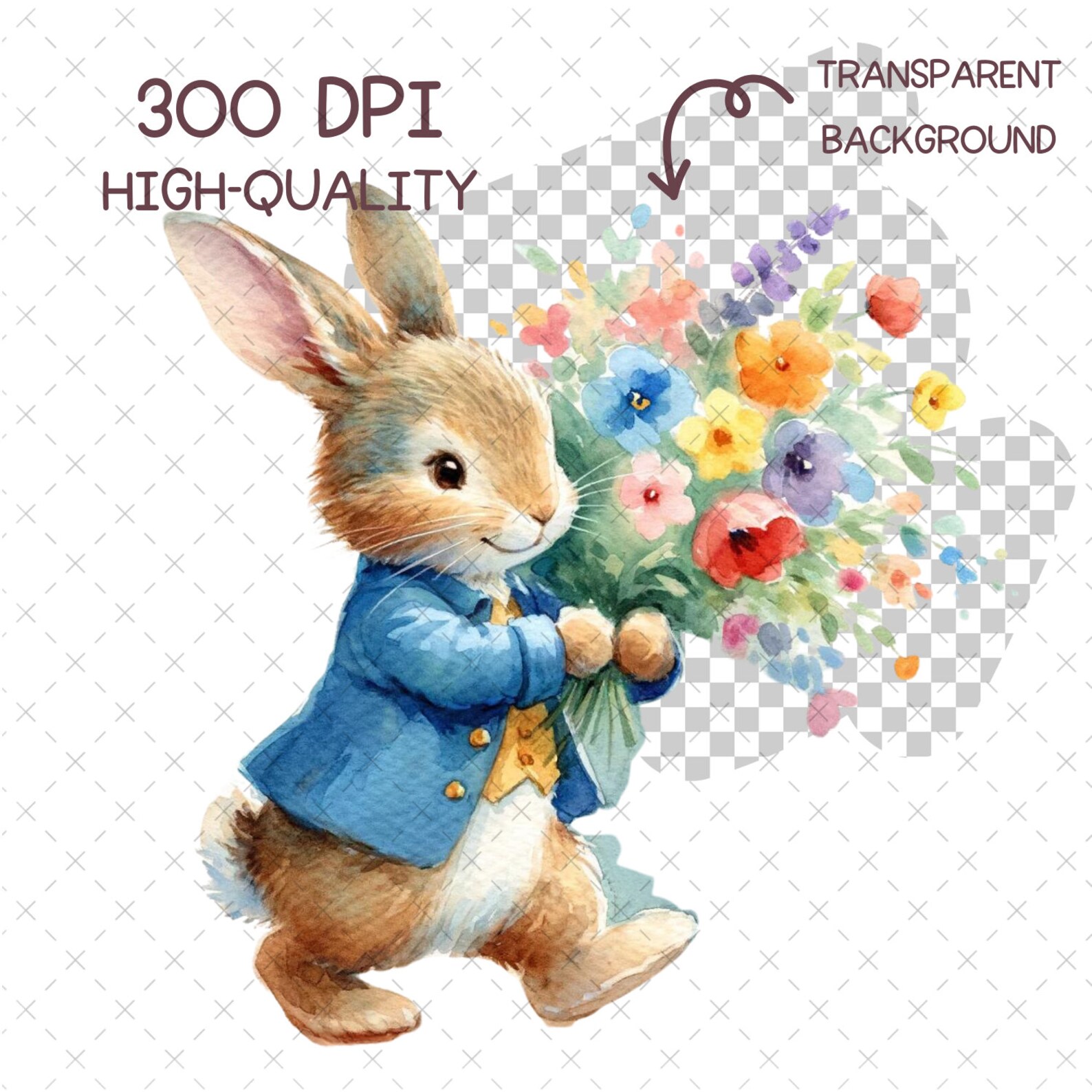 Peter Rabbit Clipart Cute Bunny Sublimation Peter Rabbit PNG Nuresr ...