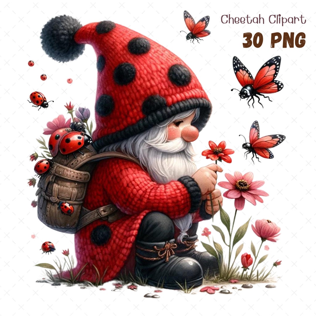 Ladybugs Gnome Clipart Ladybird Gnome PNG Gnome Ladybug Sulimation ...
