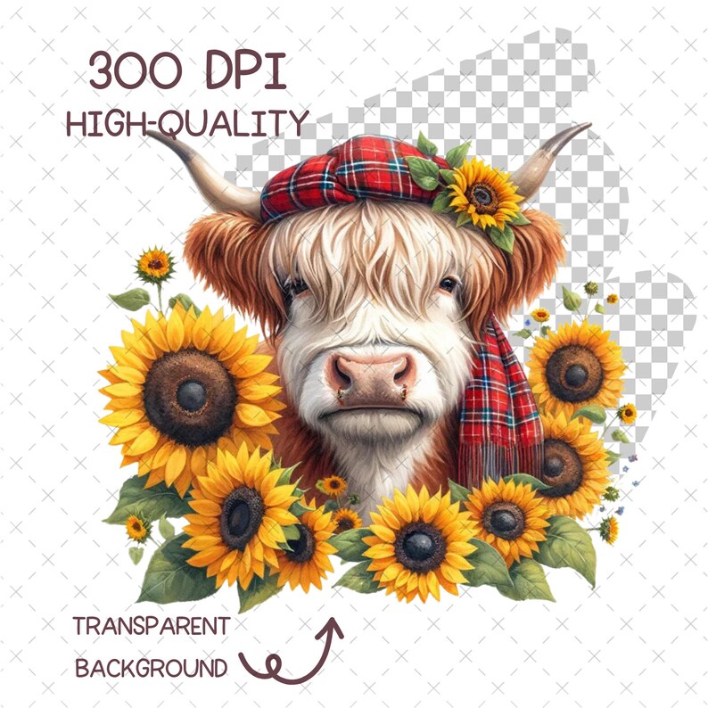 Spring Highland Cow Clipart Highland Cow Sublimation Watercolor ...