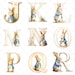 Peter Rabbit Alphabet Clipart, Watercolor Bunny Letters (PNG Digital ...