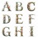 Wild Flower Alphabet Clip Art Watercolor Letter PNG Floral Alphabet ...