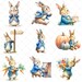 Peter Rabbit Clipart Cute Bunny Sublimation Peter Rabbit PNG Nuresr ...