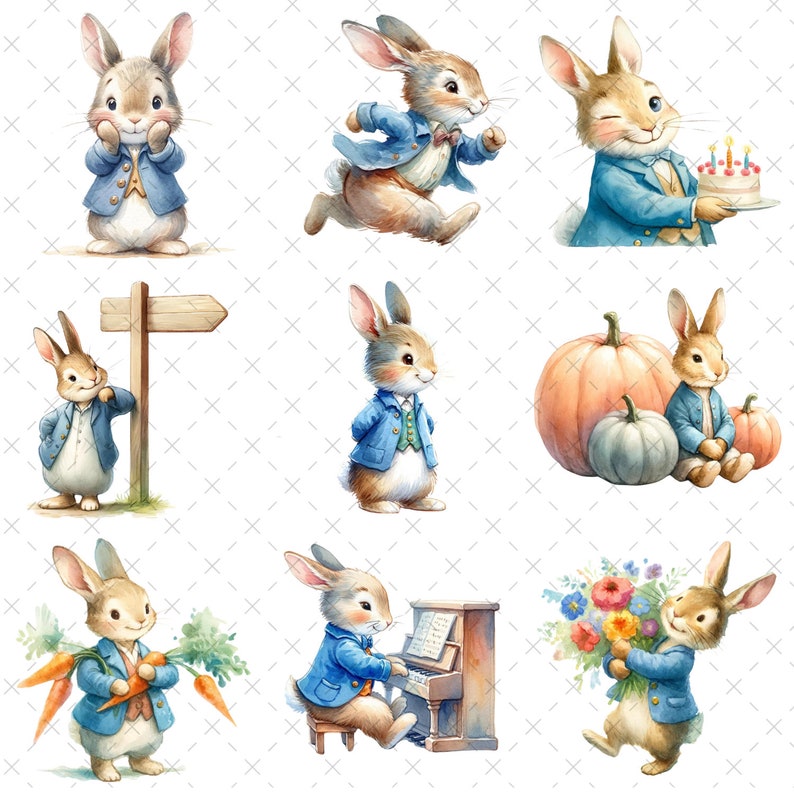 Peter Rabbit Clipart Cute Bunny Sublimation Peter Rabbit PNG Nuresr ...