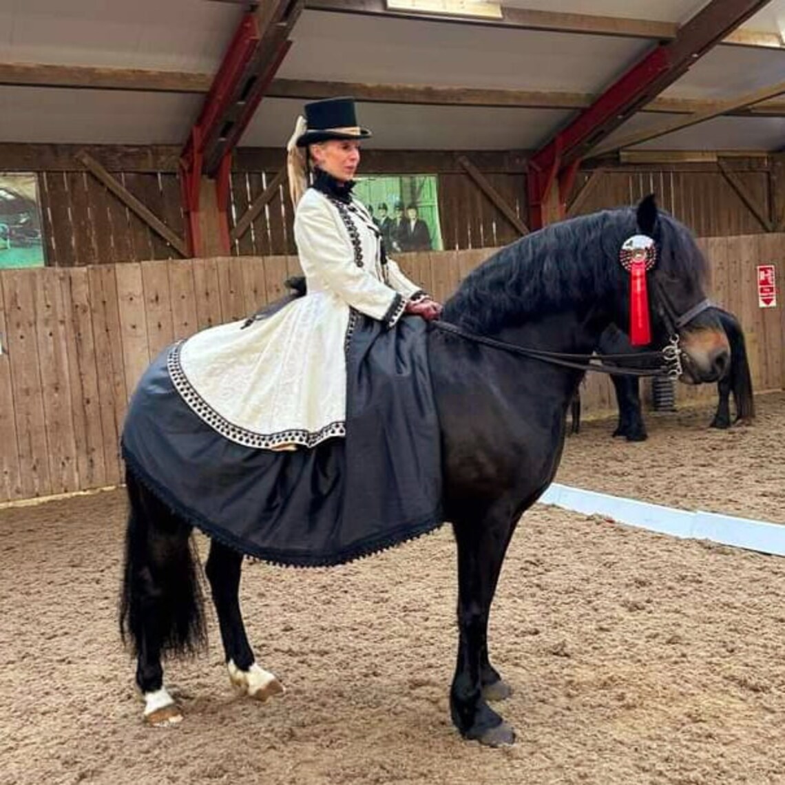 16.2hh Ride Astride Concours D'elegance Horse Skirt Pdf Sewing Pattern ...