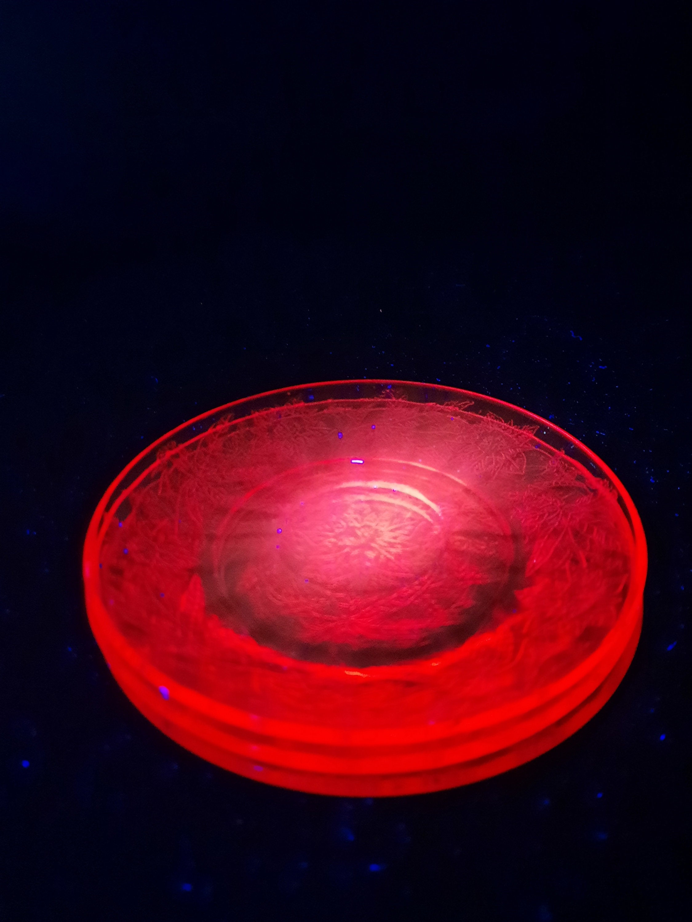 Pink Selenium Floral Depression Glass Plates Set of 3 - Etsy