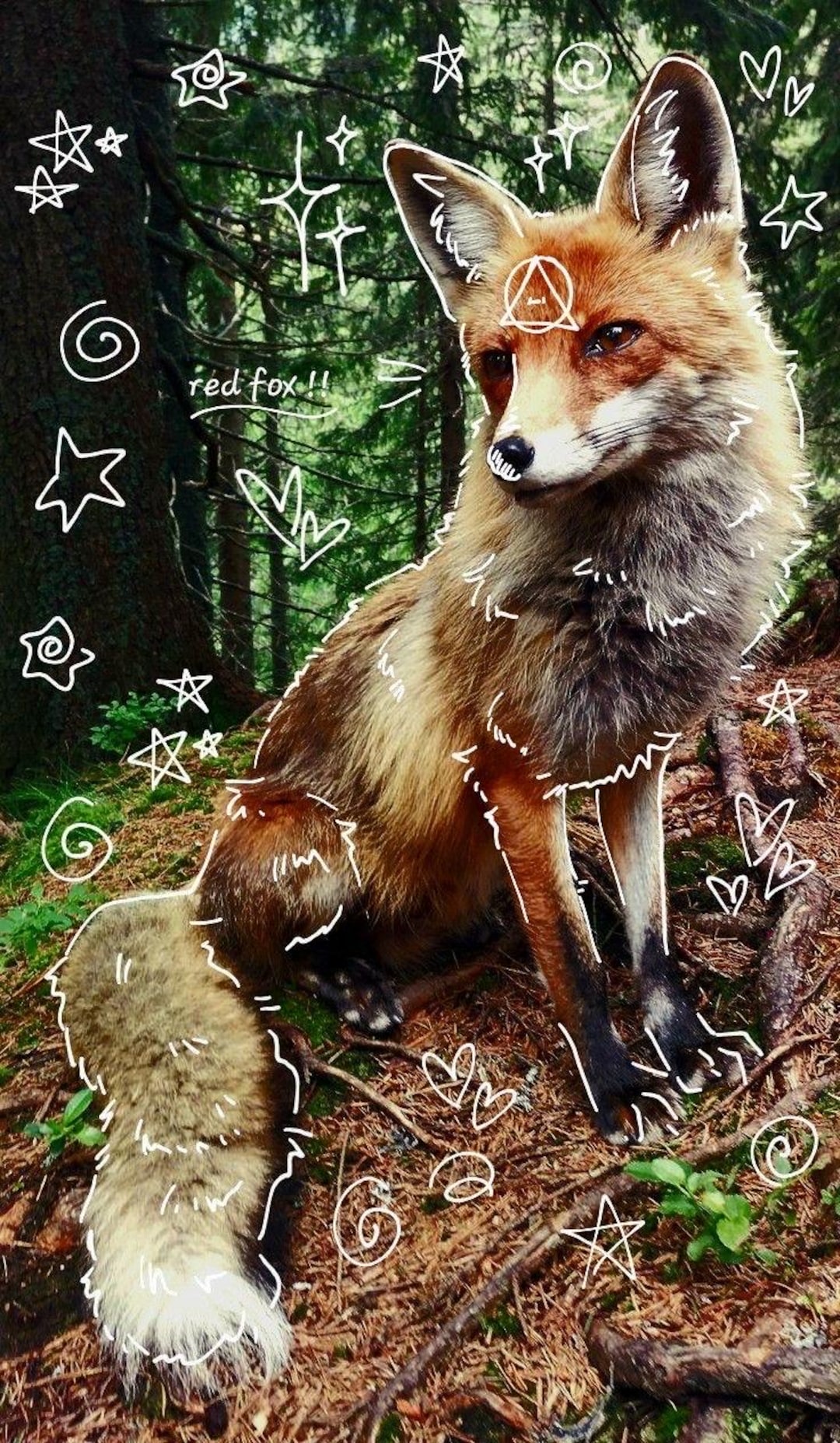Therian Mask Commission [MESSAGE First](canine, Foxes, Wolves, Coyotes ...